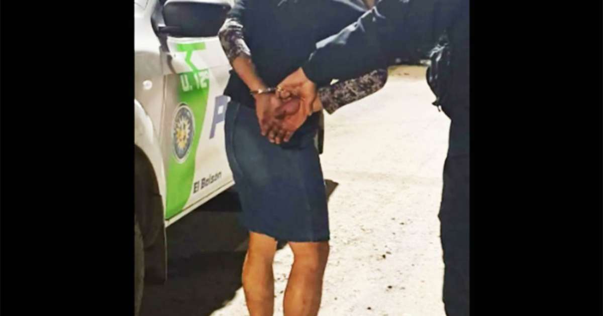 Nada de inteligencia: A Jones Huala lo detuvieron por casualidad ...