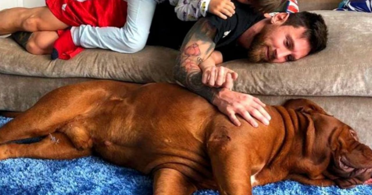 Leo Messi reveló la desgarradora historia de su perro Hulk | MejorInformado