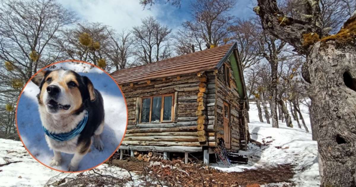 Cerro Dormilón, un refugio soñado y con Toto, un guía de lujo con ...