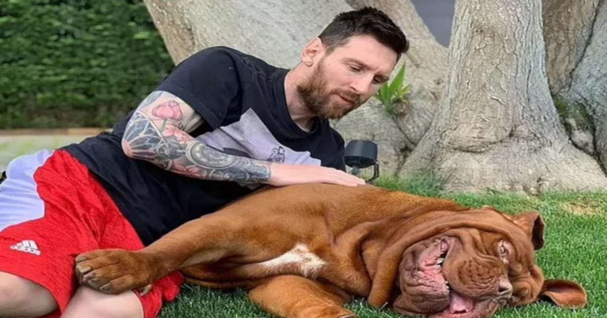 Cómo se llaman y de qué raza son los perros de Lionel Messi y su familia