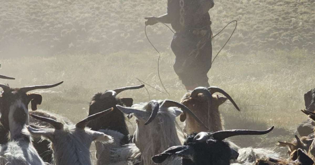 Un viaje al interior de la veranada al pie del volcán Domuyo