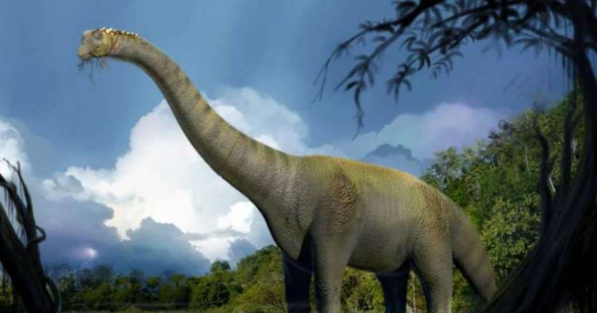 Rocasaurus Muniozi, el cuellolargo rionegrino que respiraba como un pájaro