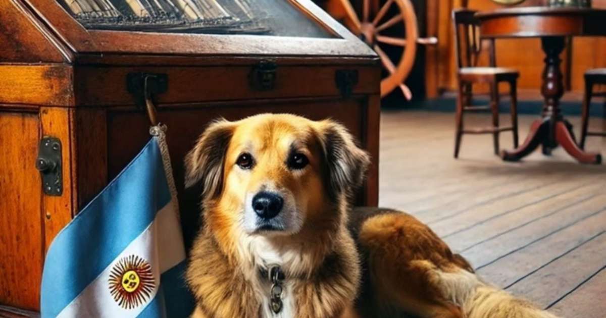 La historia de Lampazo, el perro marinero que nunca abandonó su barco