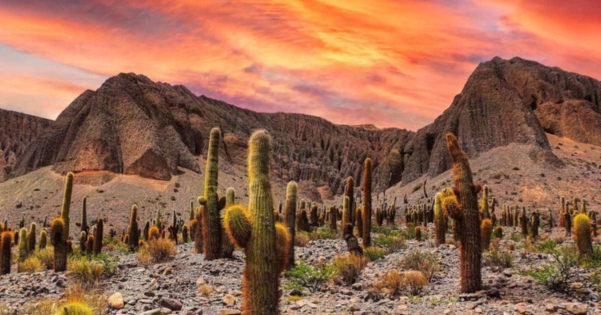 Salta en otoño: paisajes, aventuras y cultura para disfrutar