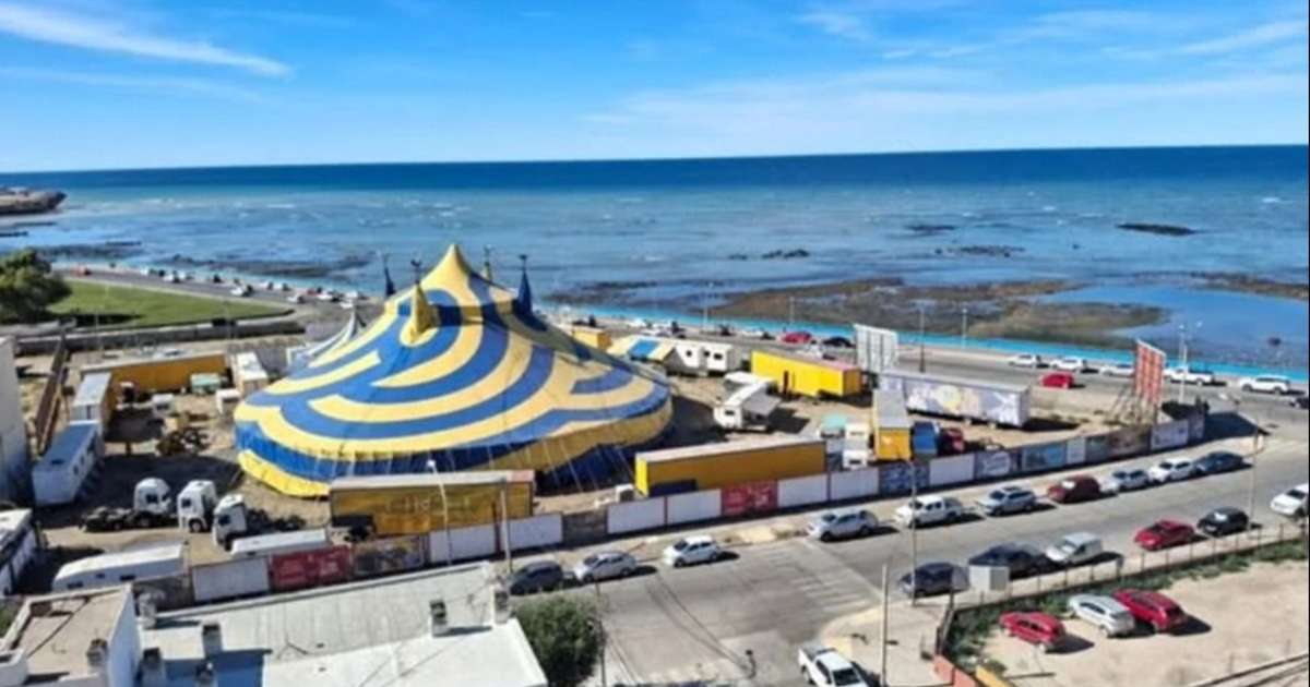 Incendió el circo donde trabajaba luego de ser echado y terminó ...