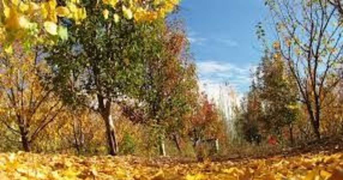 Viento en aumento y clima agradable en Neuquén: el pronóstico para este ...