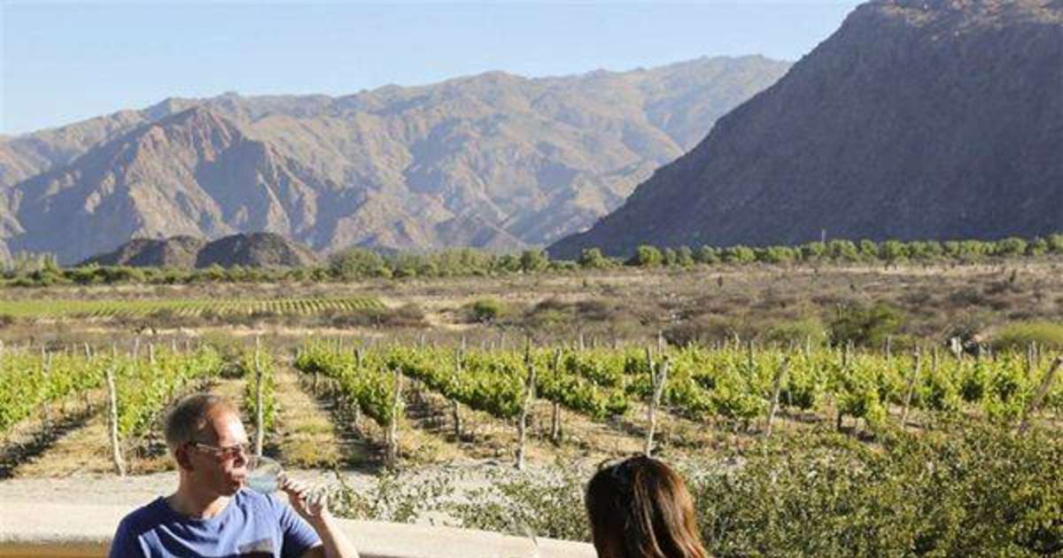 Descubrí el otoño en Salta: naturaleza, vinos de altura y aventura