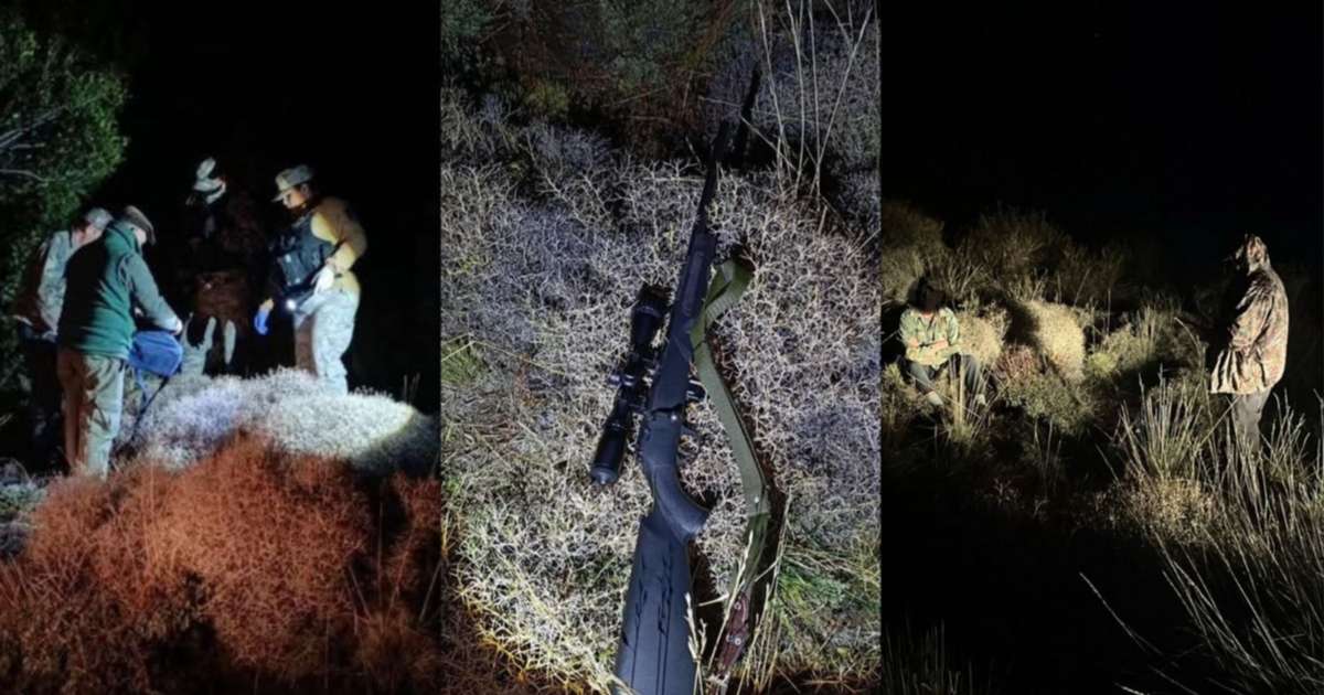 Controles en Neuquén: 77 truchas y caza furtiva detectadas