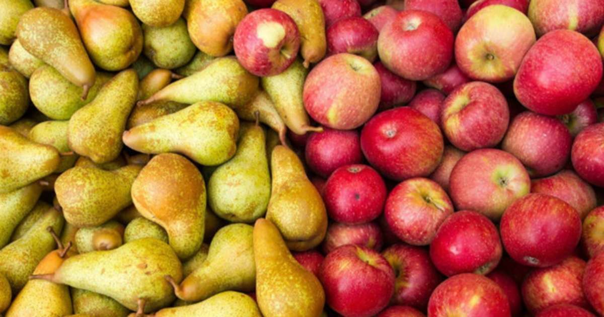Caída de producción de peras y manzanas en Río Negro y Neuquén 2026