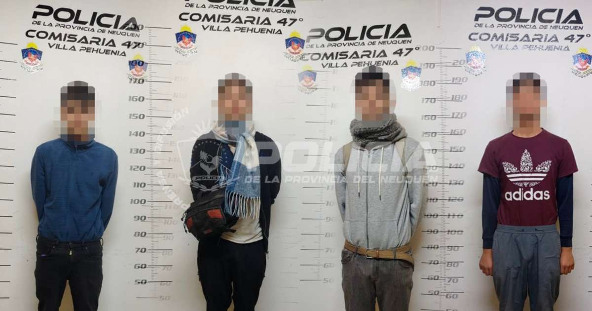 Cuatro chilenos fueron deportados tras operativo en Villa Pehuenia