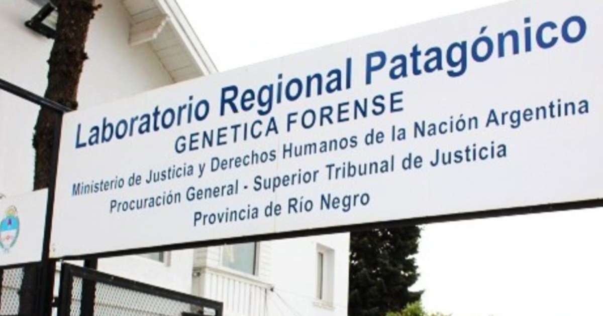Cipolletti: una transfusión reveló identidad paterna y la Justicia ...