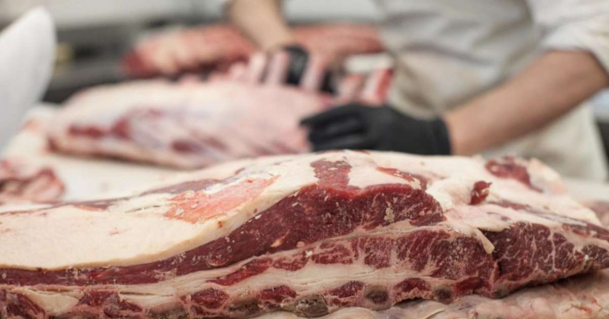 Baja del precio del asado en Patagonia: análisis y tendencias