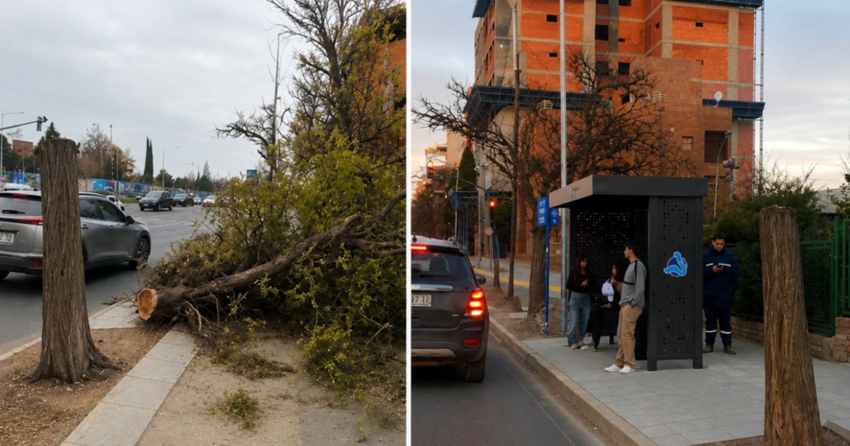 Neuquén mejora seguridad en garita de colectivos tras accidente
