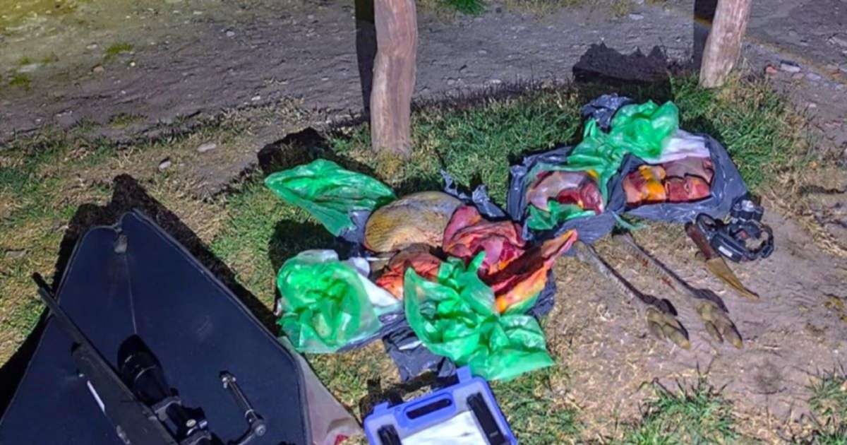 Detectaron carne de ñandú y armas en un control de la Brigada Rural