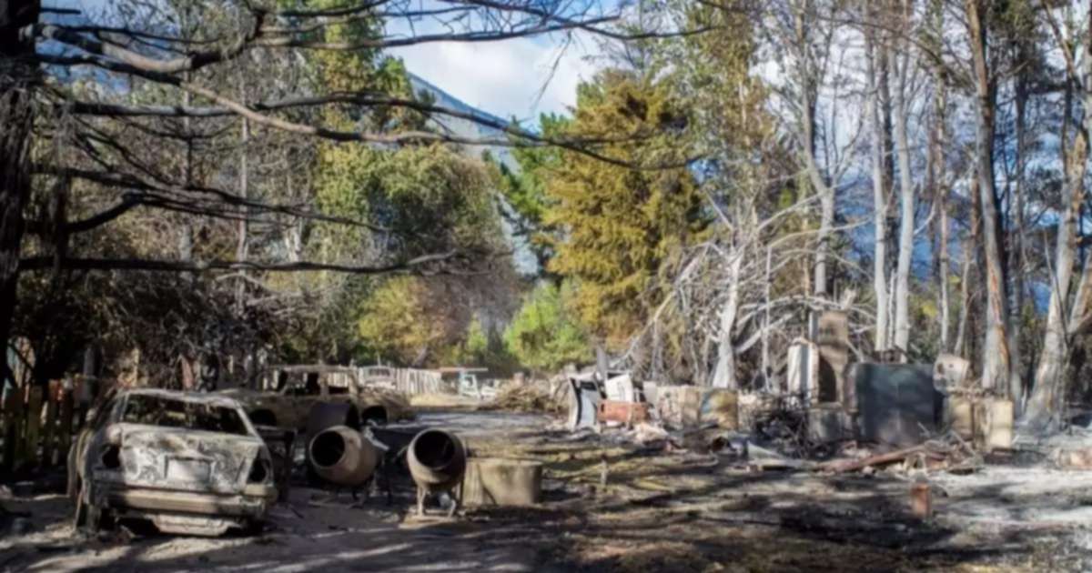 Intentó prender fuego un bosque en El Bolsón y lo frenaron a caballo ...